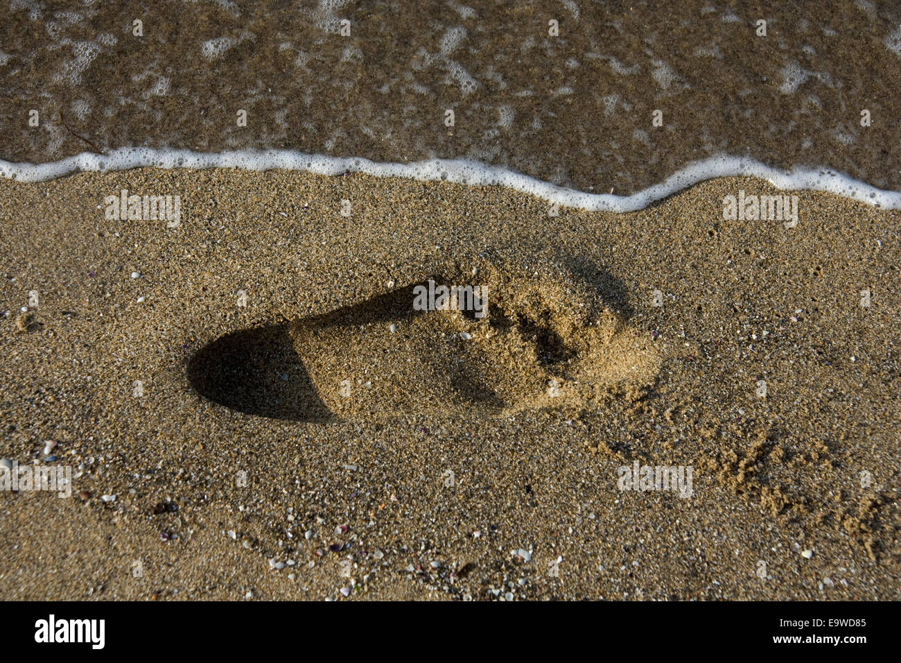 Empreinte dans le sable Banque de photographies et d’images à haute résolution - Alamy