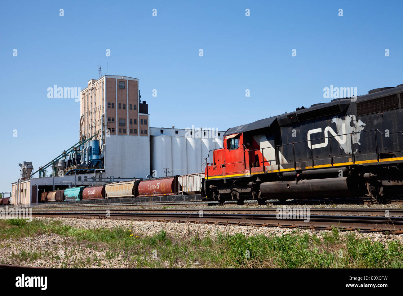 Terminal céréalier sur la ligne ferroviaire ; Edmonton, Alberta, Canada ...