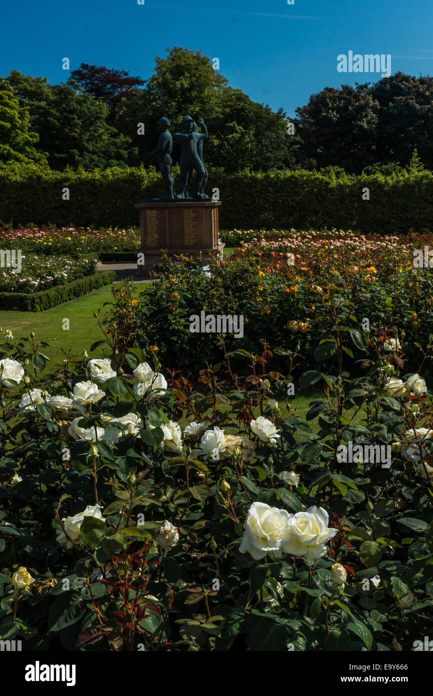 Parc de roses hazlehead Banque de photographies et d’images à haute ...