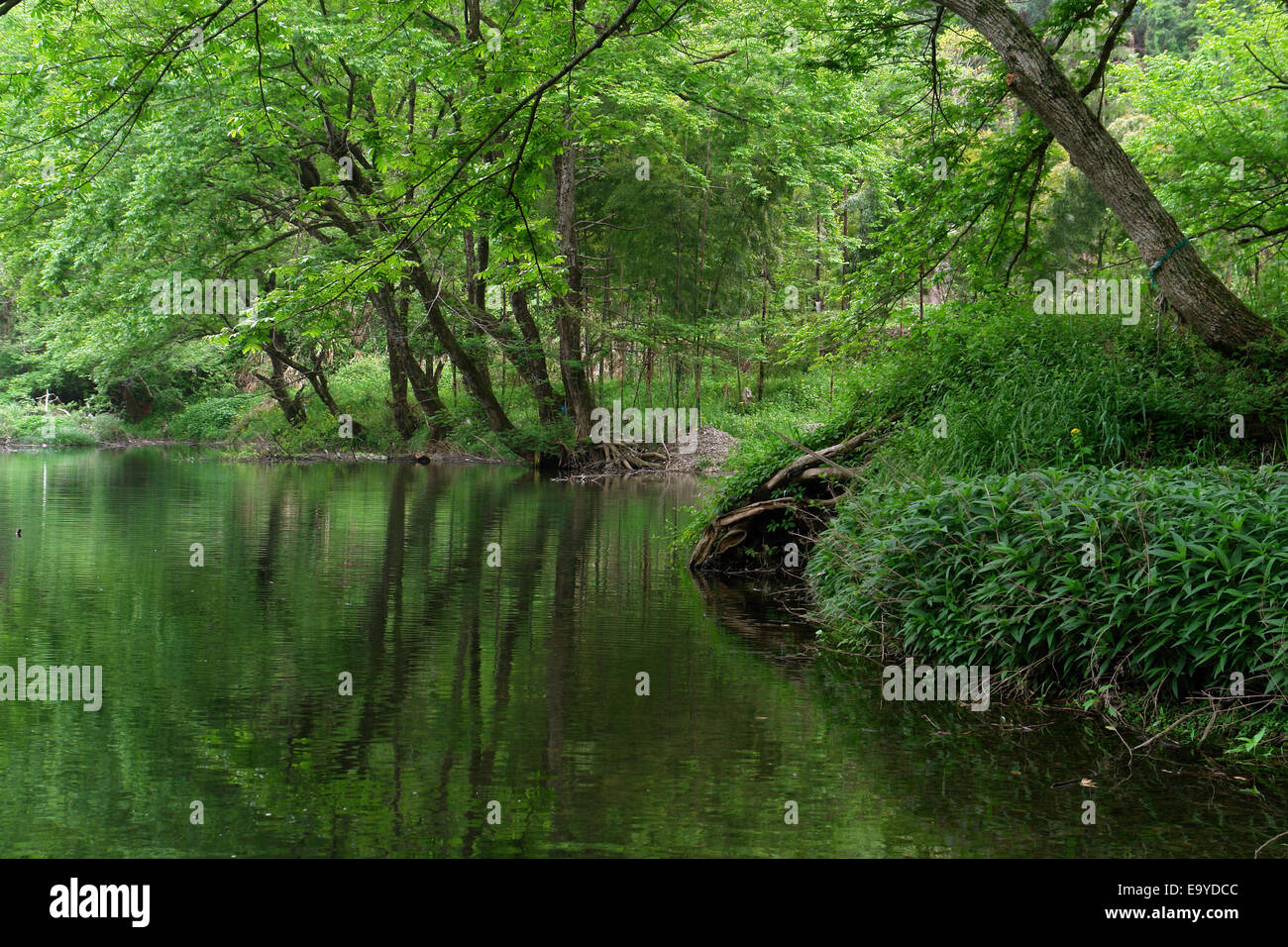 Orifice naturel Banque de photographies et d’images à haute résolution ...