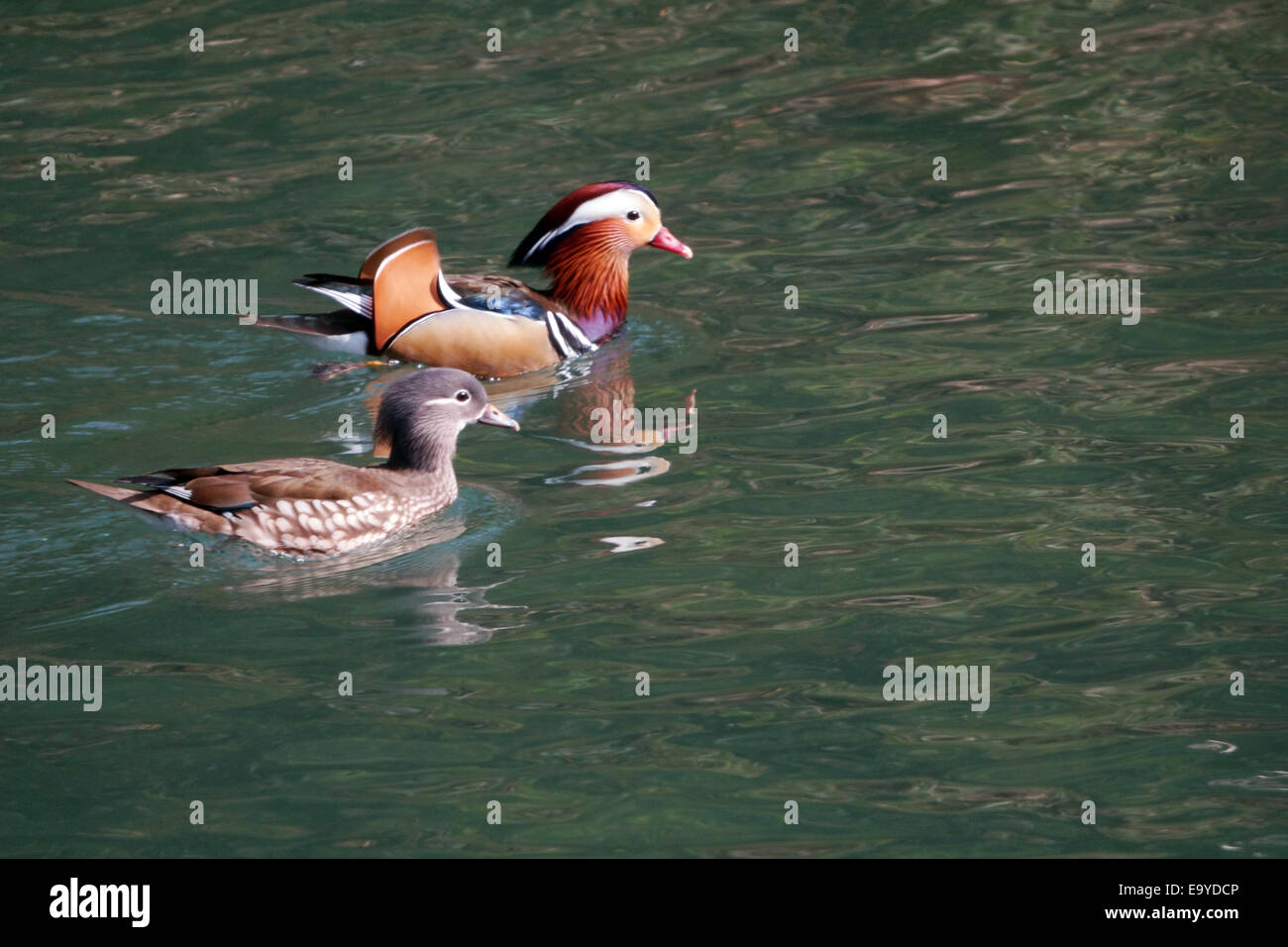 Orifice naturel Banque de photographies et d’images à haute résolution ...