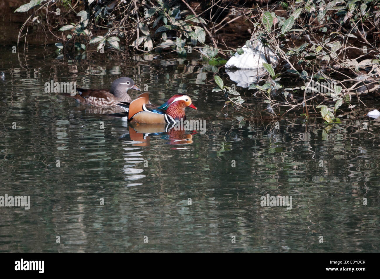 Orifice naturel Banque de photographies et d’images à haute résolution ...