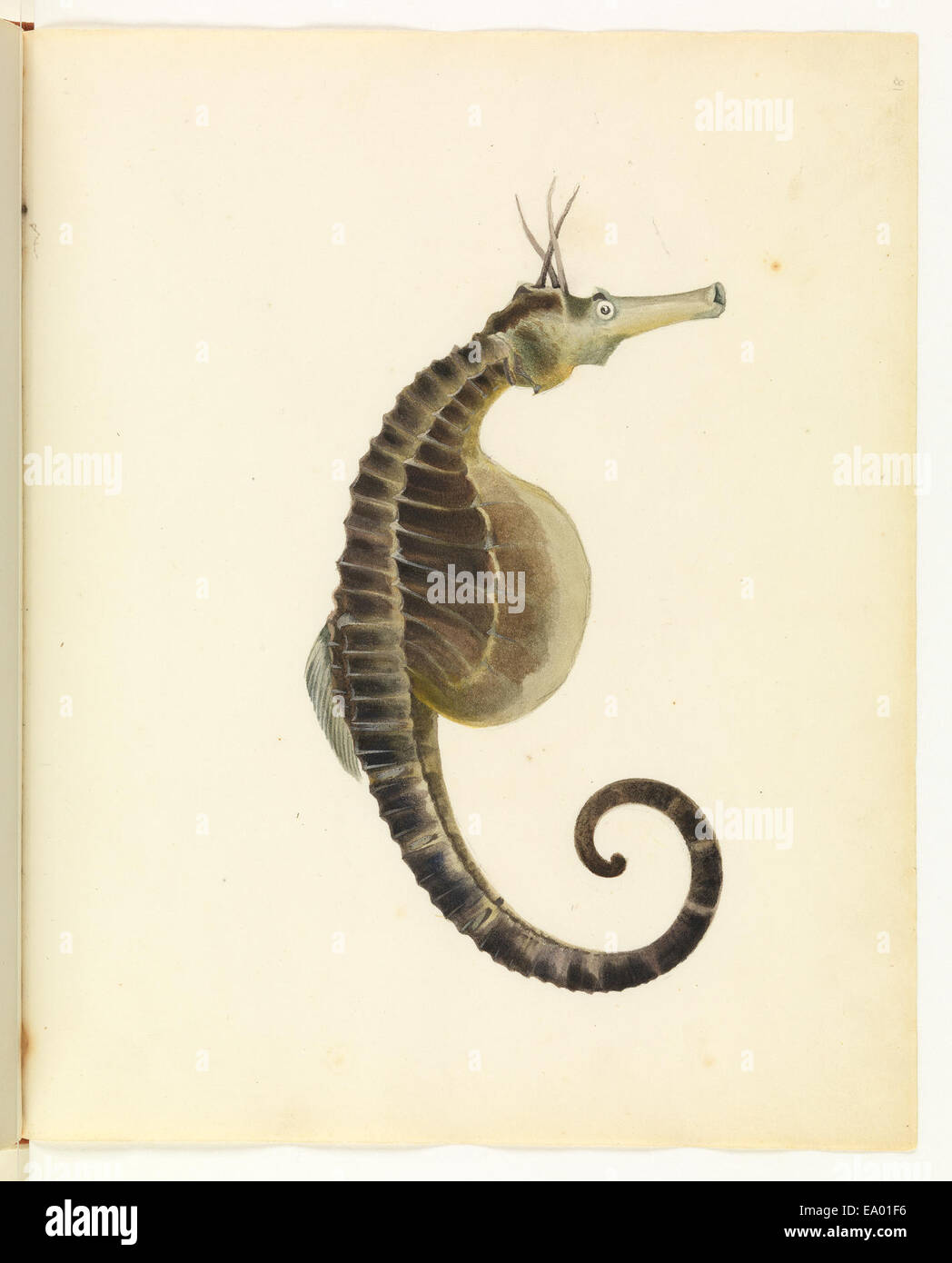 William buelow gould Banque de photographies et d’images à haute ...