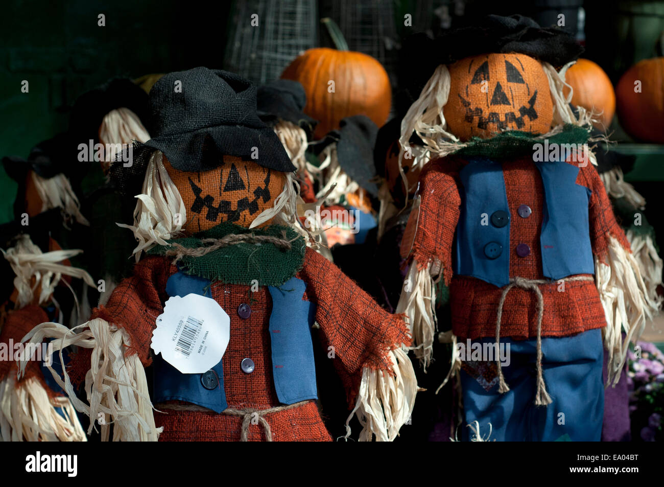 Épouvantail s'affiche pendant un Halloween, festival de la citrouille ...