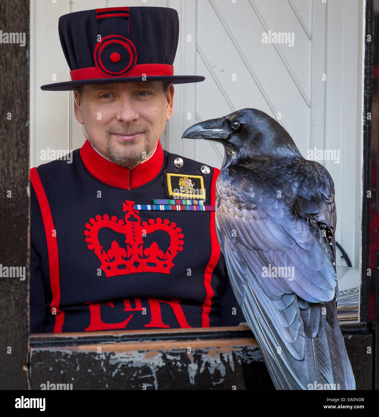 Beefeater raven Banque de photographies et d’images à haute résolution ...