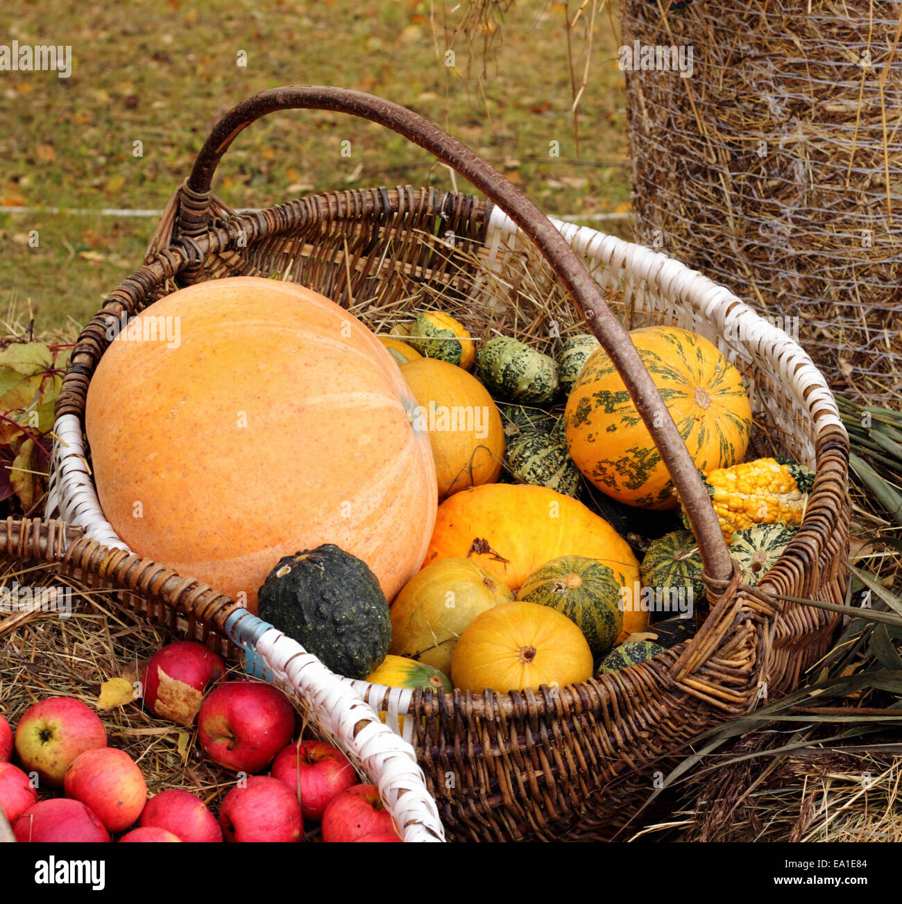 Panier en citrouille Banque de photographies et d’images à haute ...