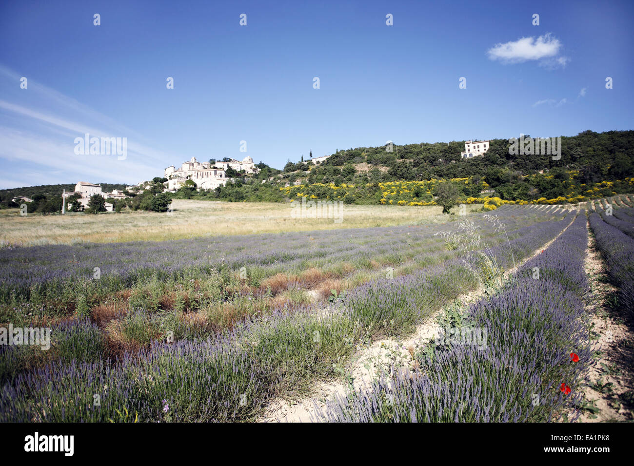 Simiane la rotonde Banque de photographies et d’images à haute ...
