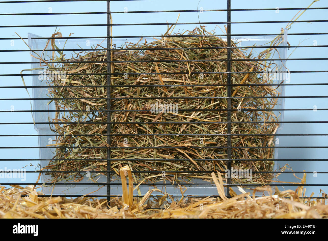 Aliments pour animaux ou fourrage Banque de photographies et d’images à ...