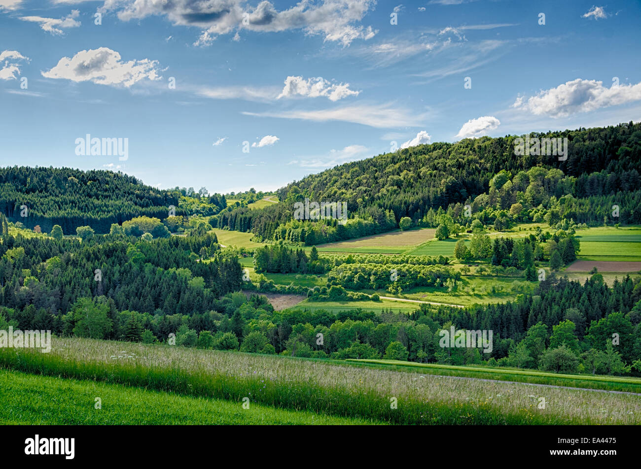 Paysage de verdure Banque de photographies et d’images à haute ...
