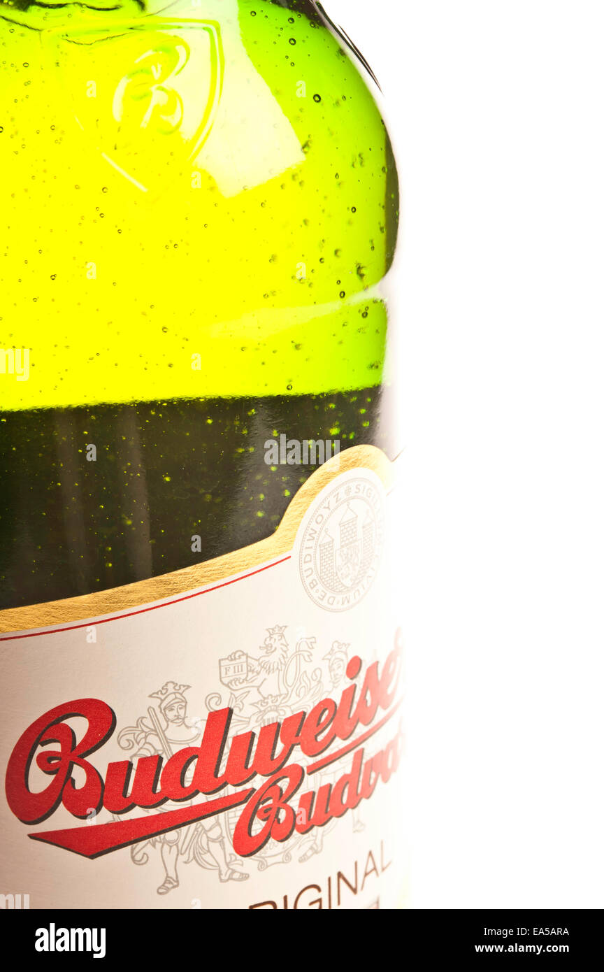 Budweiser beer bottle Banque de photographies et d’images à haute ...