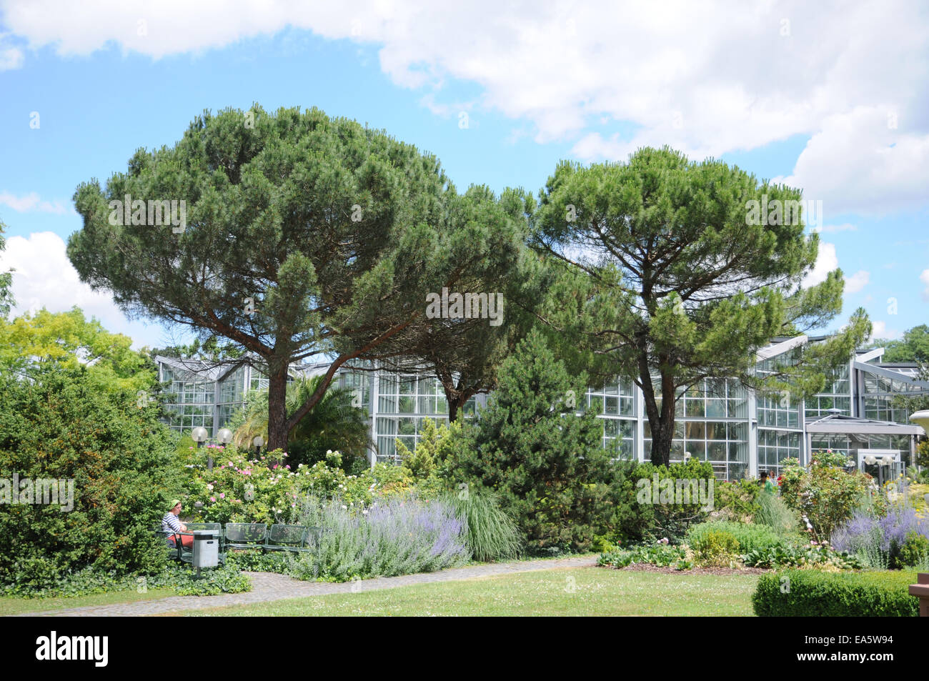 Pin parasol Banque de photographies et d’images à haute résolution - Alamy