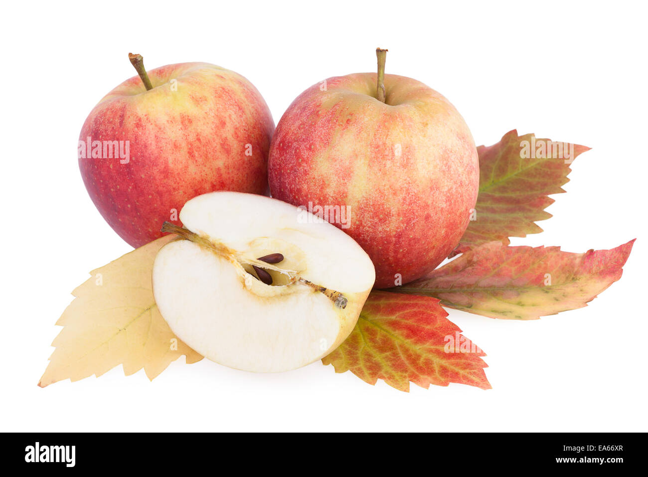 Pomme avec feuille Banque de photographies et d’images à haute ...