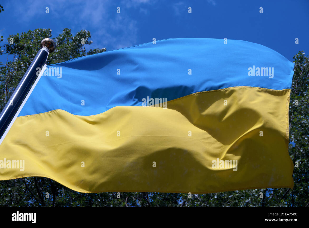 Drapeau ukraine Banque de photographies et d’images à haute résolution ...