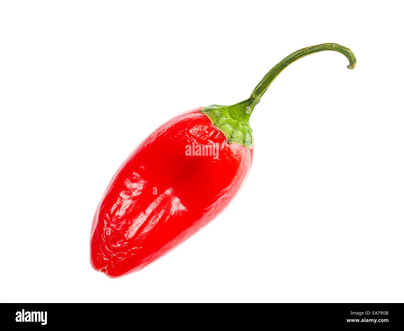 Piment vert avec des gouttes d'eau Banque d'image et photos - Alamy
