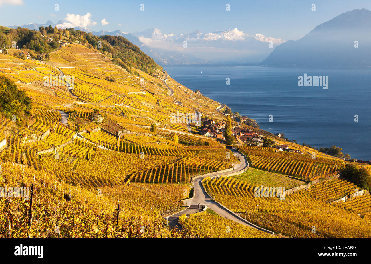 Epesses in lavaux Banque de photographies et d’images à haute ...