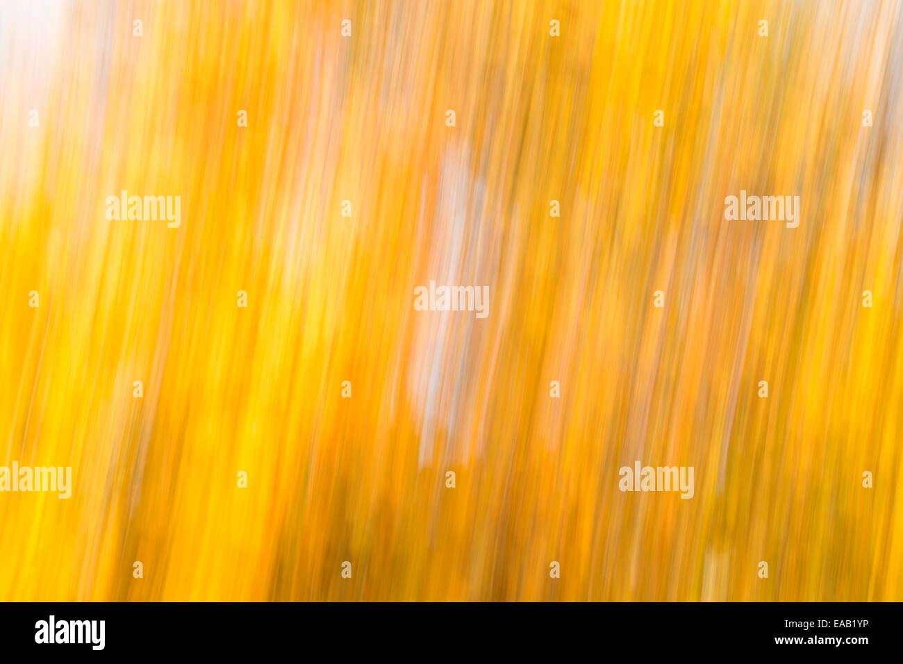 Texture jaune Banque de photographies et d’images à haute résolution ...