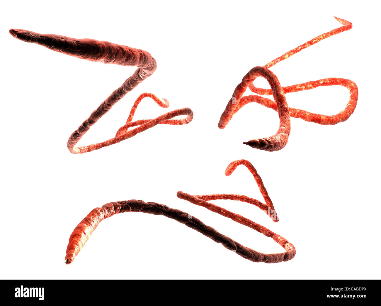 Vue microscopique Banque d'images détourées - Alamy