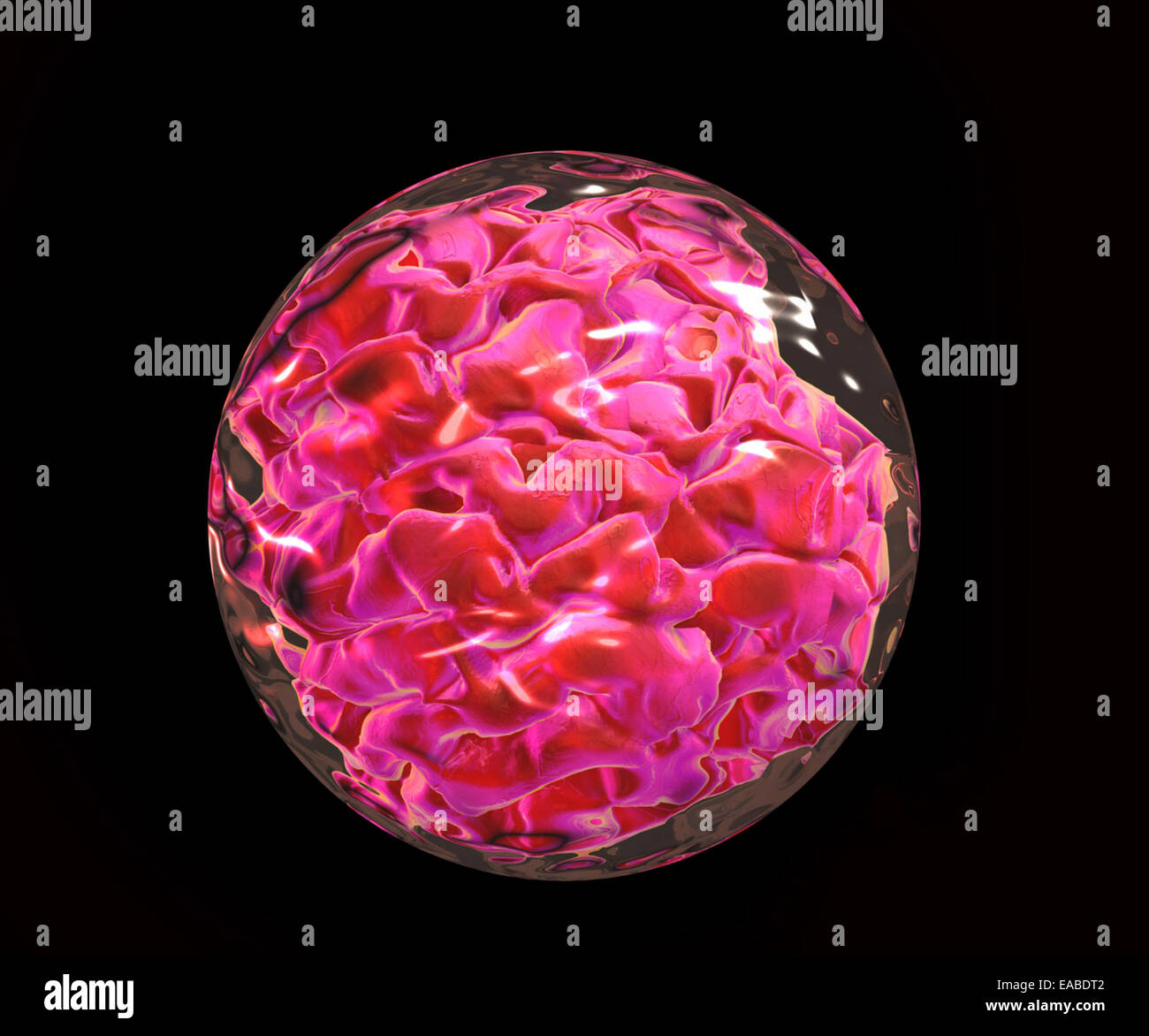 3D render de clivage de l'embryon - illustration médicale Photo Stock ...