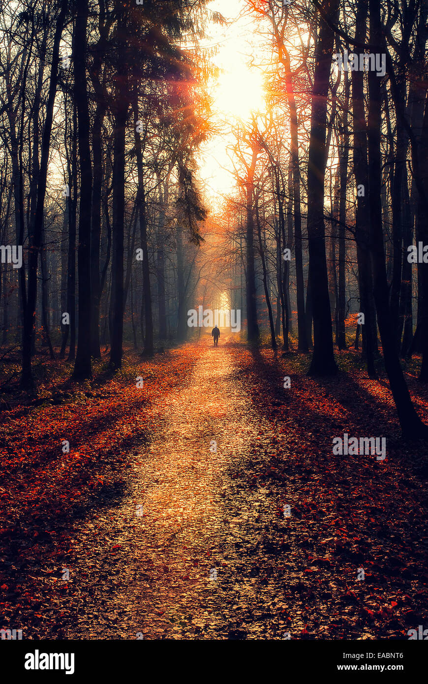 Homme qui marche dans le reflet Banque de photographies et d’images à ...
