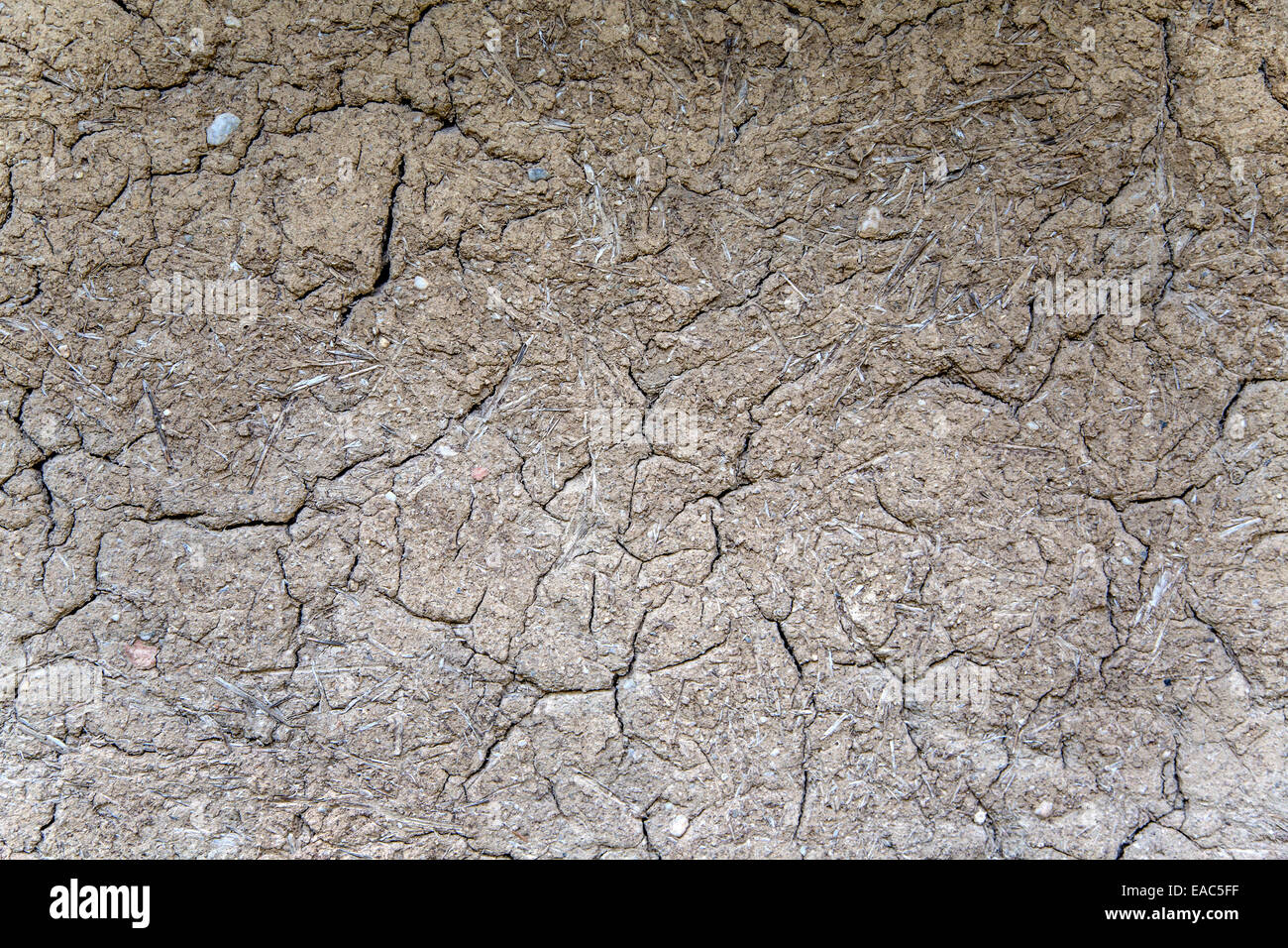 Soil fissures Banque de photographies et d’images à haute résolution ...