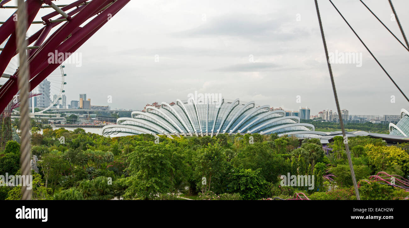 Vue spectaculaire de véranda vitrée gigantesque et vaste forêt d ...