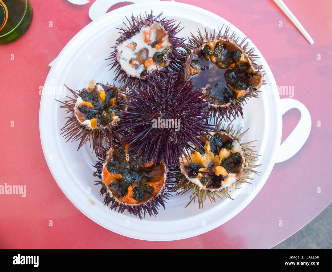 Oursin comestible Banque de photographies et d’images à haute ...