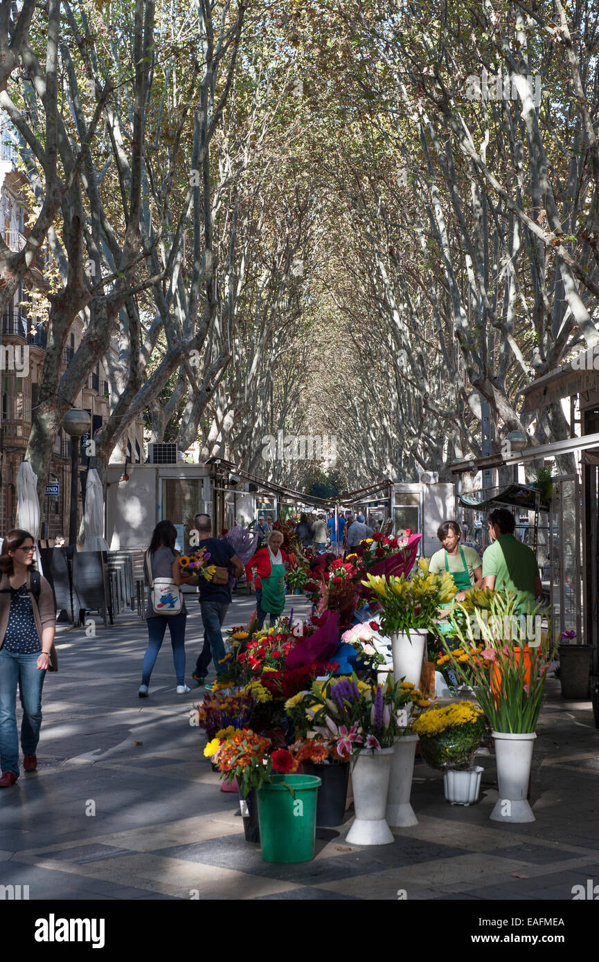 Royal ramblas Banque de photographies et d’images à haute résolution - Alamy