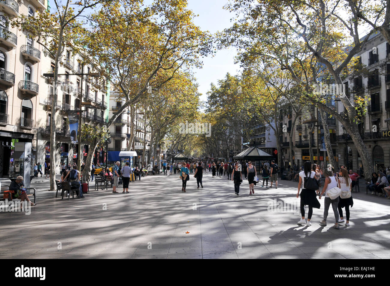 Ramblas avenue Banque de photographies et d’images à haute résolution - Alamy
