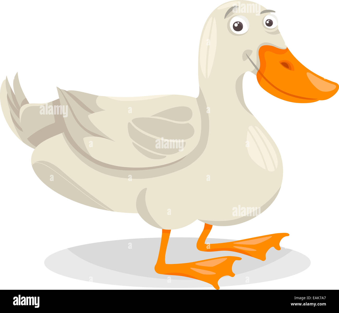 Canard drôle Banque de photographies et d’images à haute résolution - Alamy