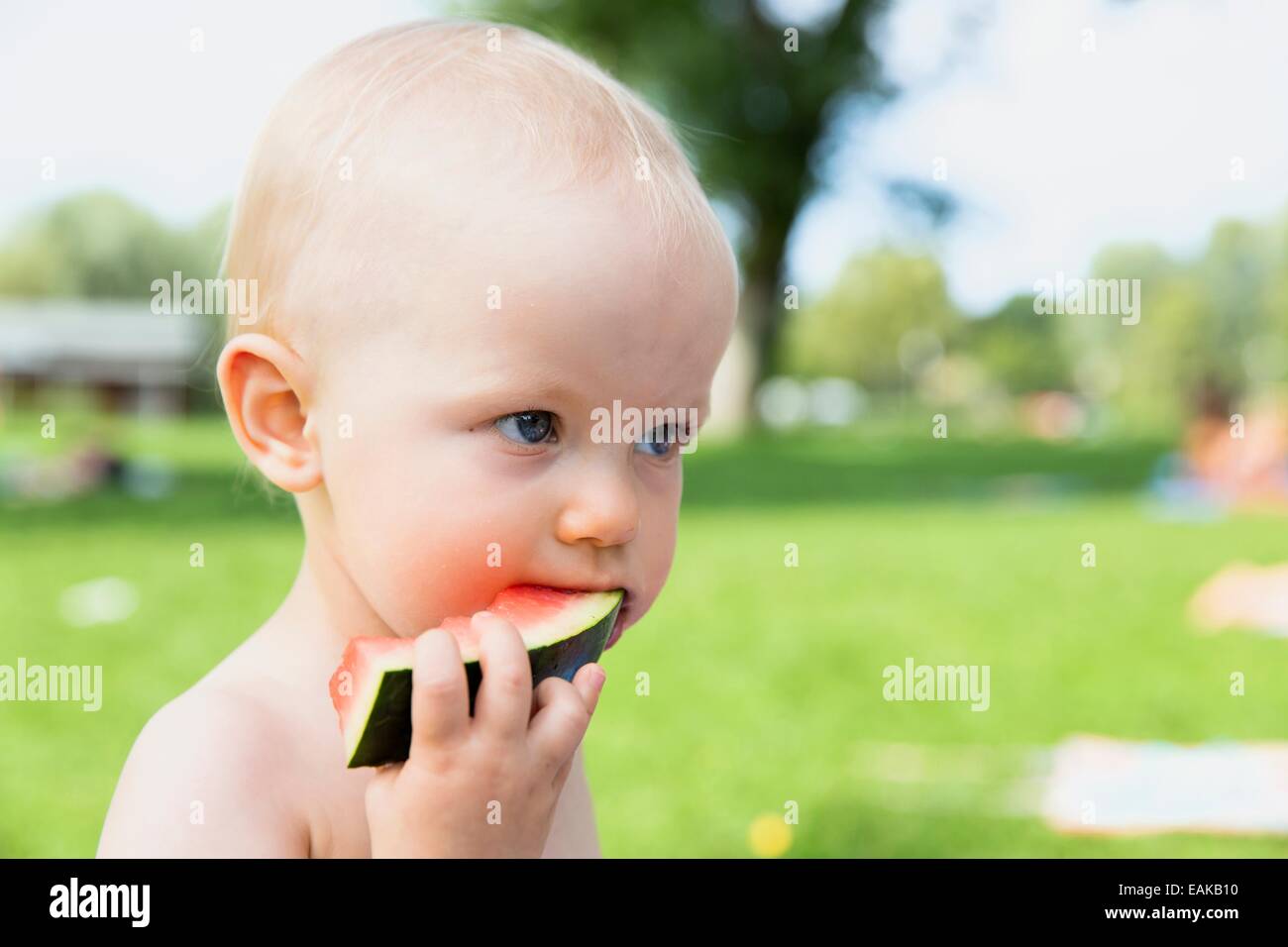 Baby melon Banque de photographies et d’images à haute résolution - Alamy