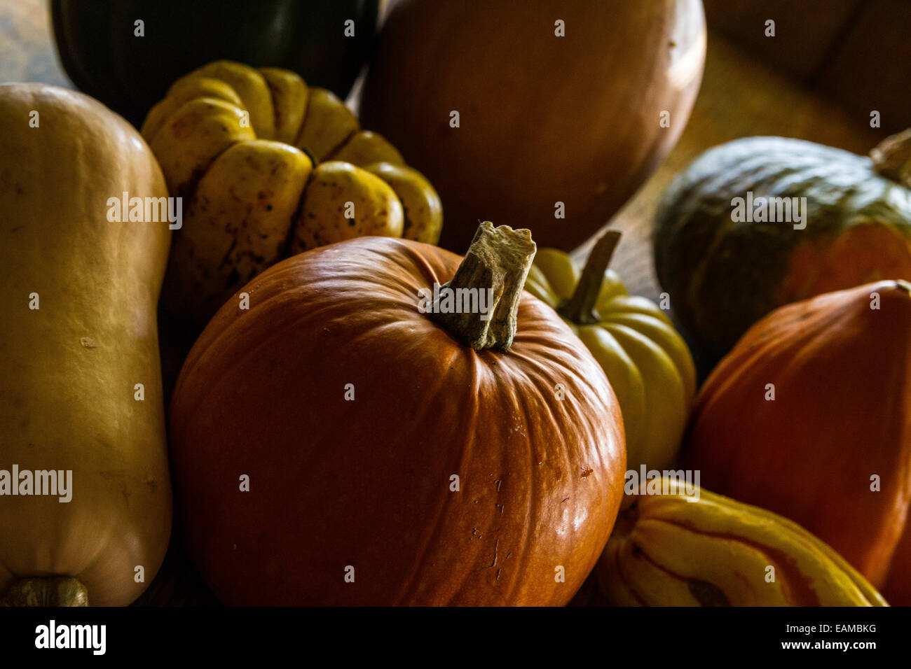 Une collection de courges d'hiver Acorn, courge, citrouille, tarte au ...
