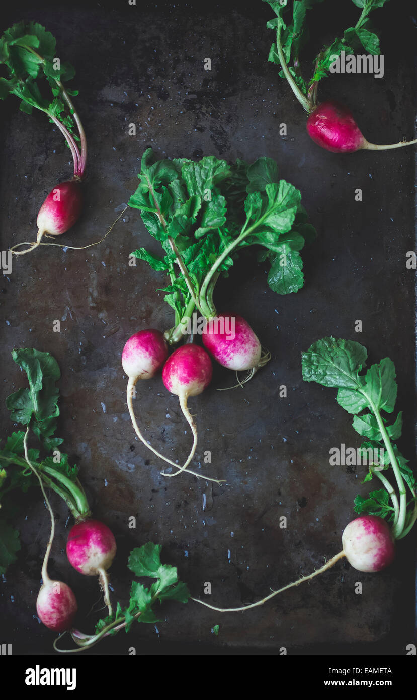 De radis Banque de photographies et d’images à haute résolution - Alamy