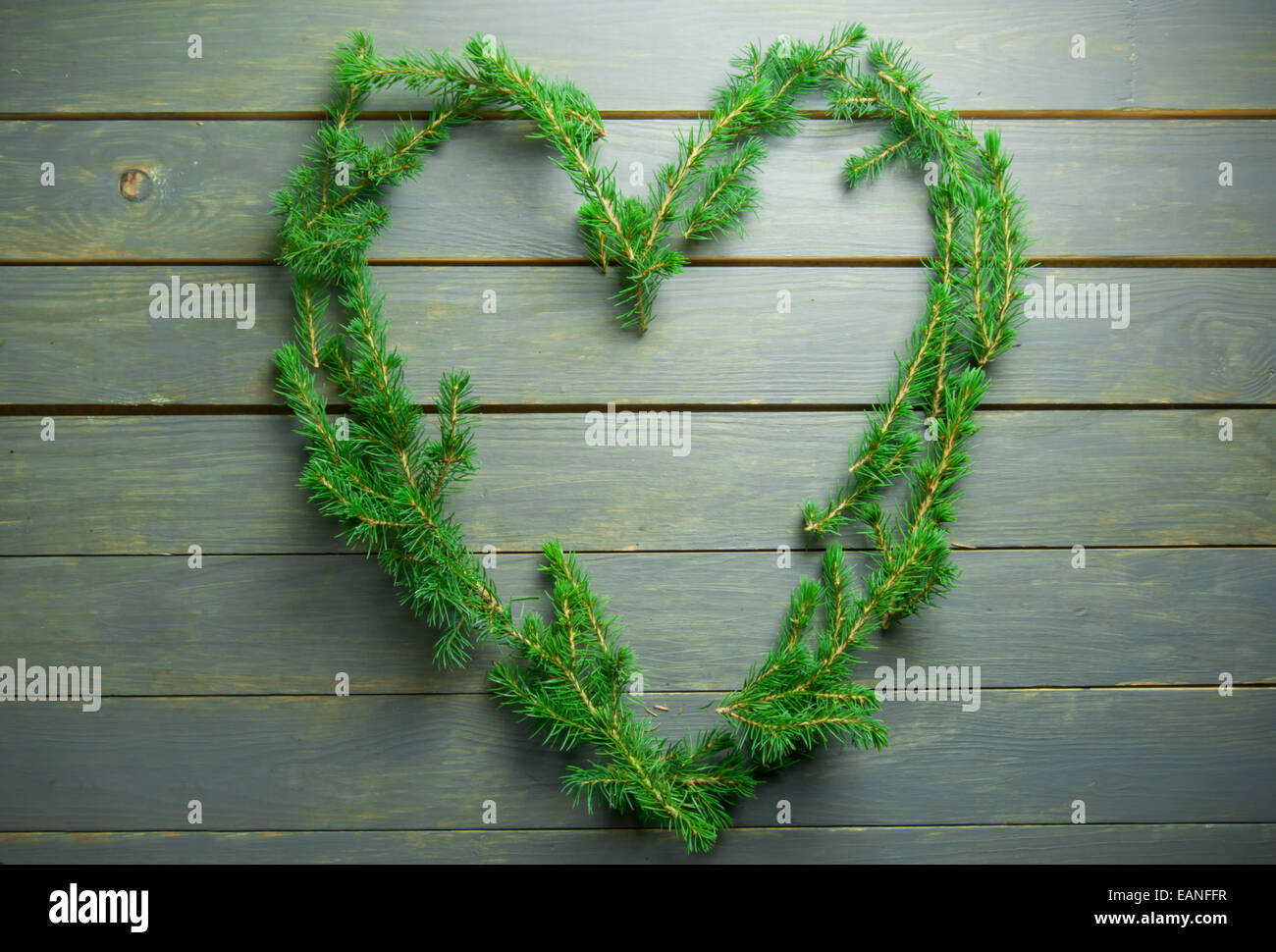 Bois d'amour Banque de photographies et d’images à haute résolution - Alamy