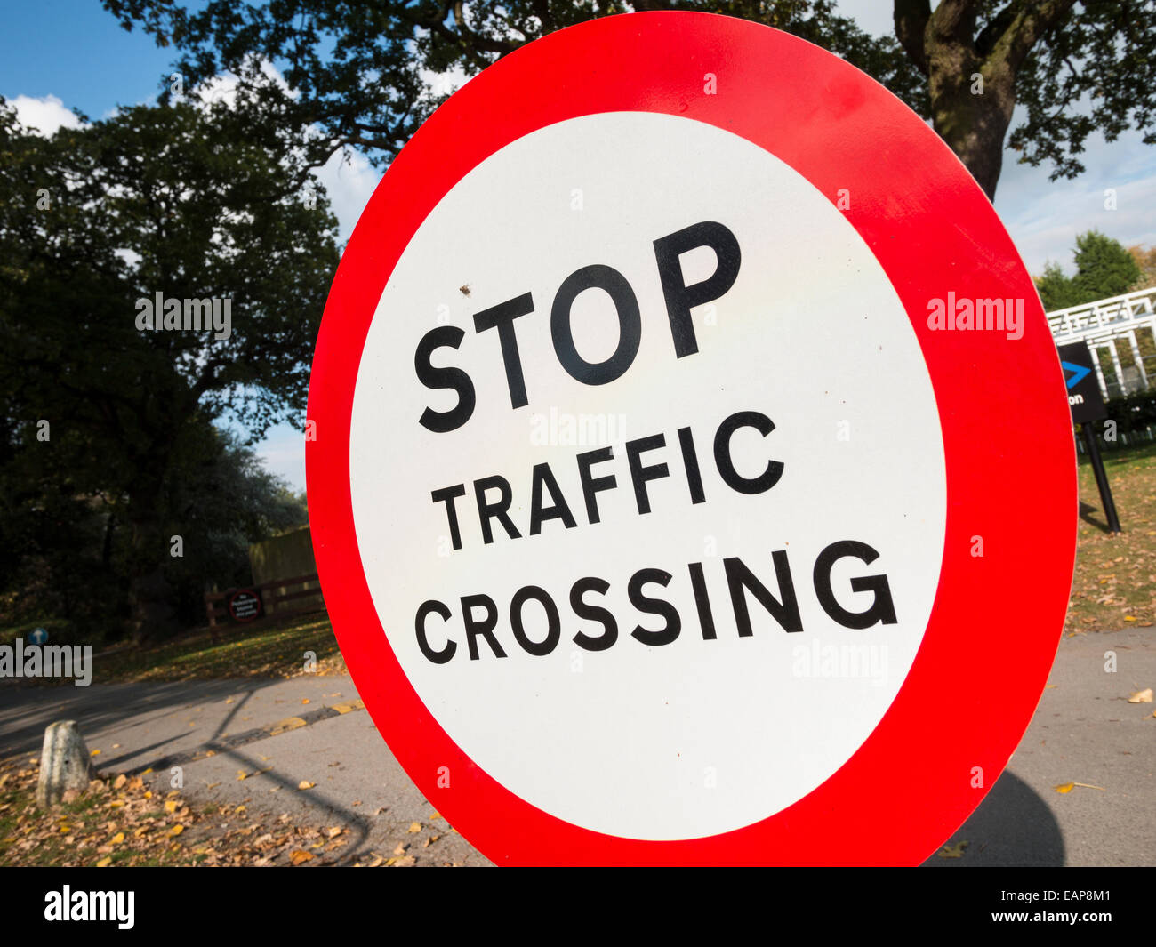 Children crossing road sign Banque de photographies et d’images à haute ...
