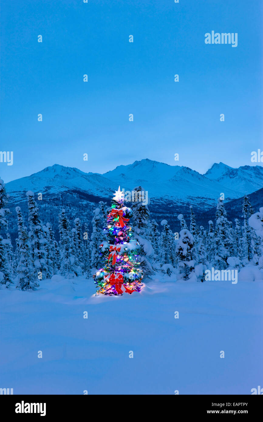 Anchorage night christmas tree Banque de photographies et d’images à ...