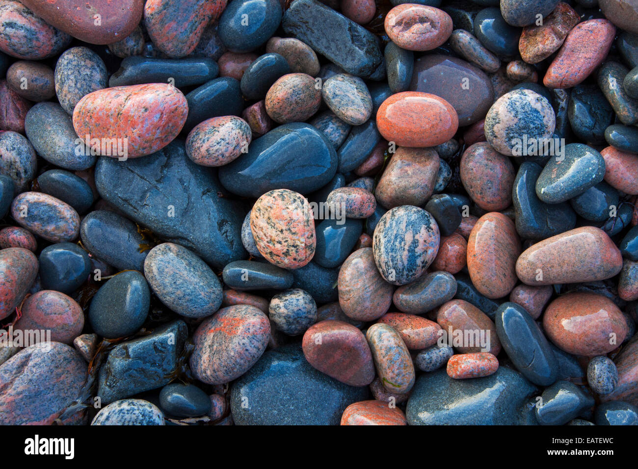 Gros plan de galets de plage Banque de photographies et d’images à ...
