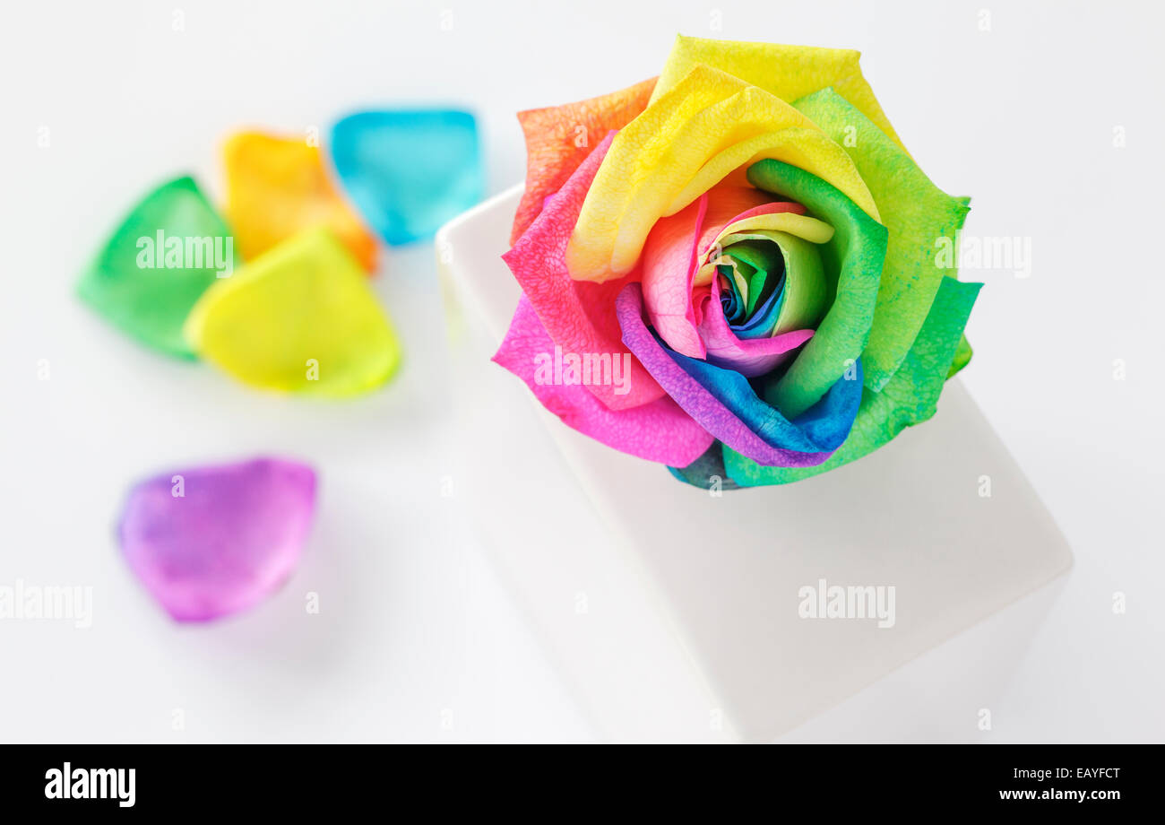 Fleurs de couleur arc en ciel Banque de photographies et d’images à ...