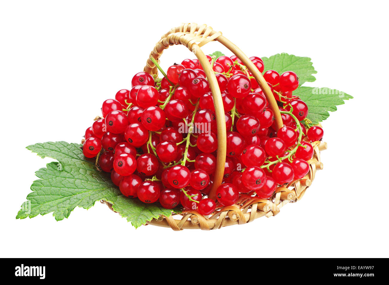 Groseille verte Banque d'images détourées - Alamy