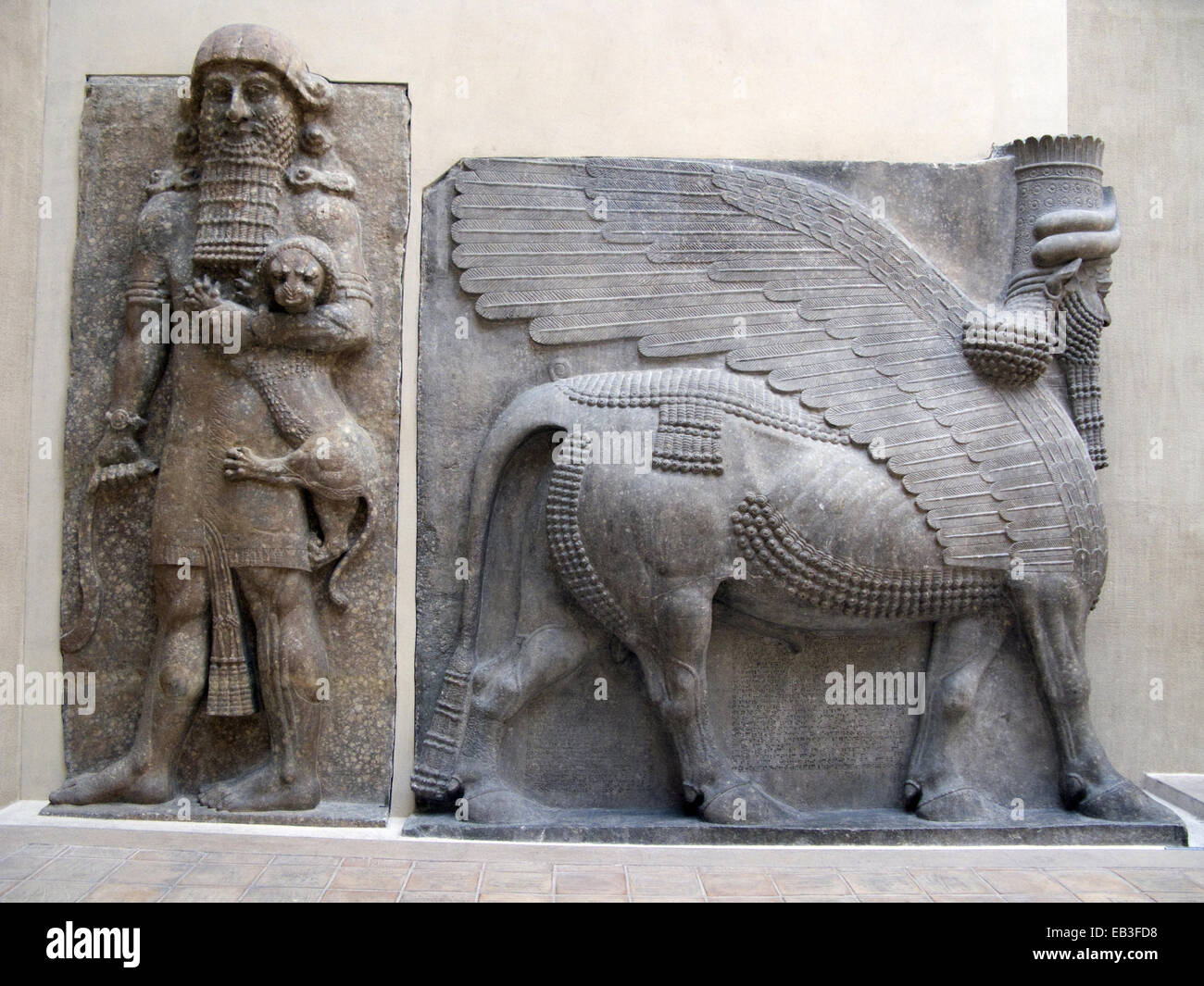 La Perse bull (5e siècle avant J.-C.) sur l'affichage au Musée du ...