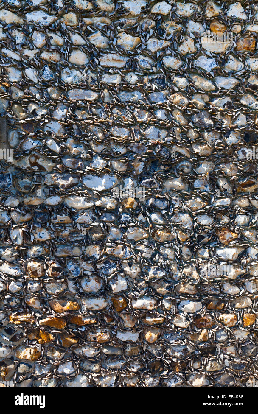 Motif de mur Banque de photographies et d’images à haute résolution - Alamy