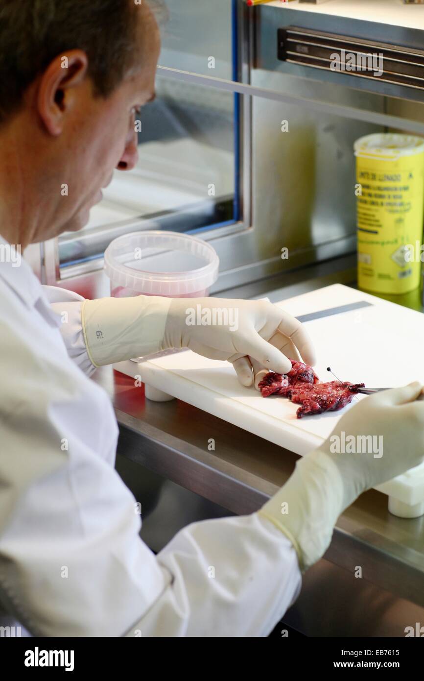 Anatomy pathology center Banque de photographies et d’images à haute ...