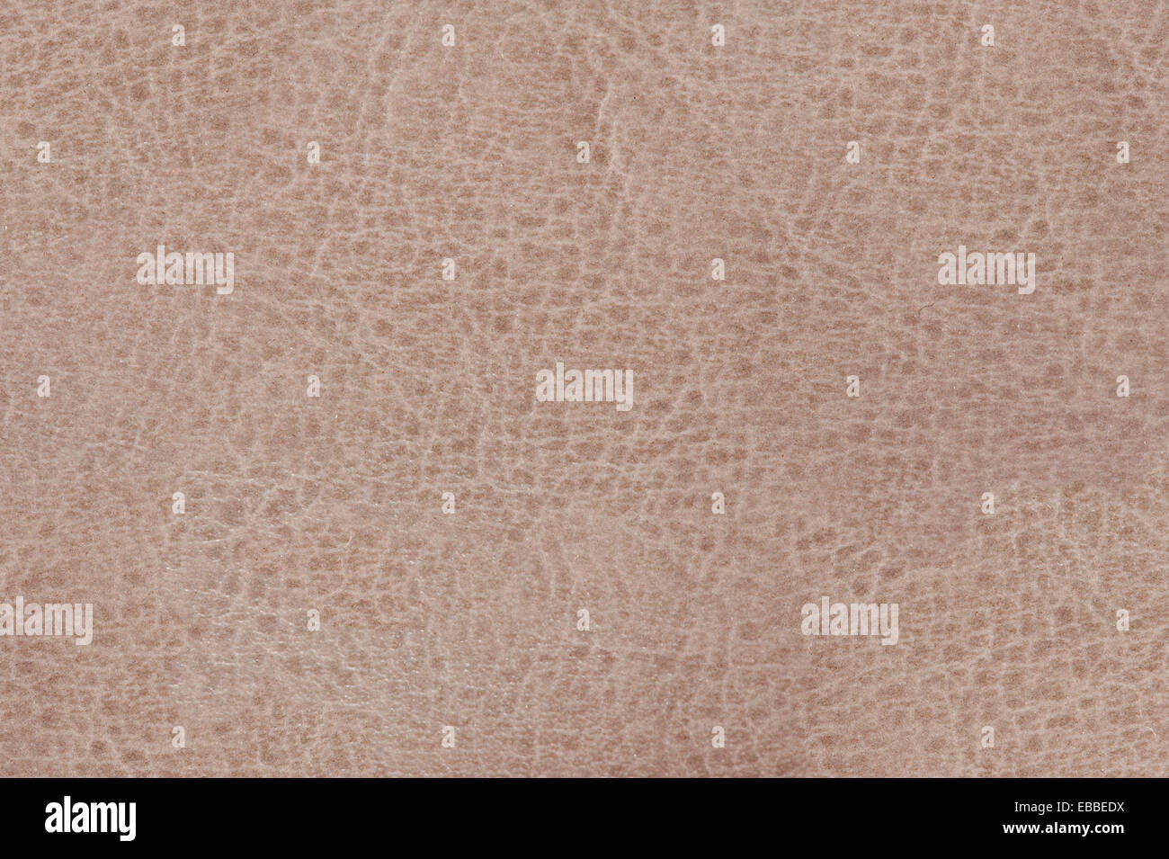 Beige leather texture Banque de photographies et d’images à haute ...