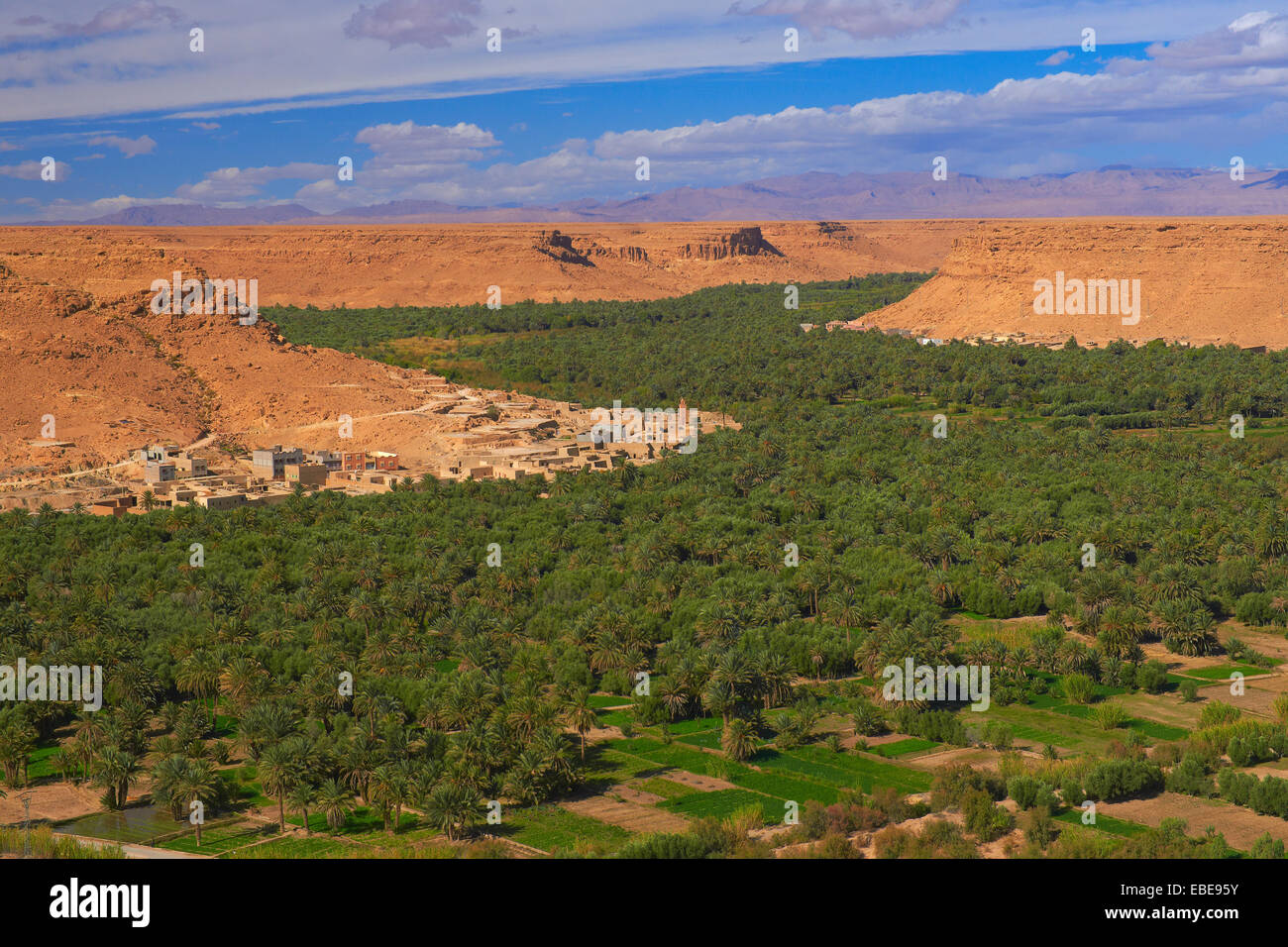 Oasis de Tafilalet, Tafilalt Oasis, gorges du ZIZ, Vallée de Ziz Ziz ...