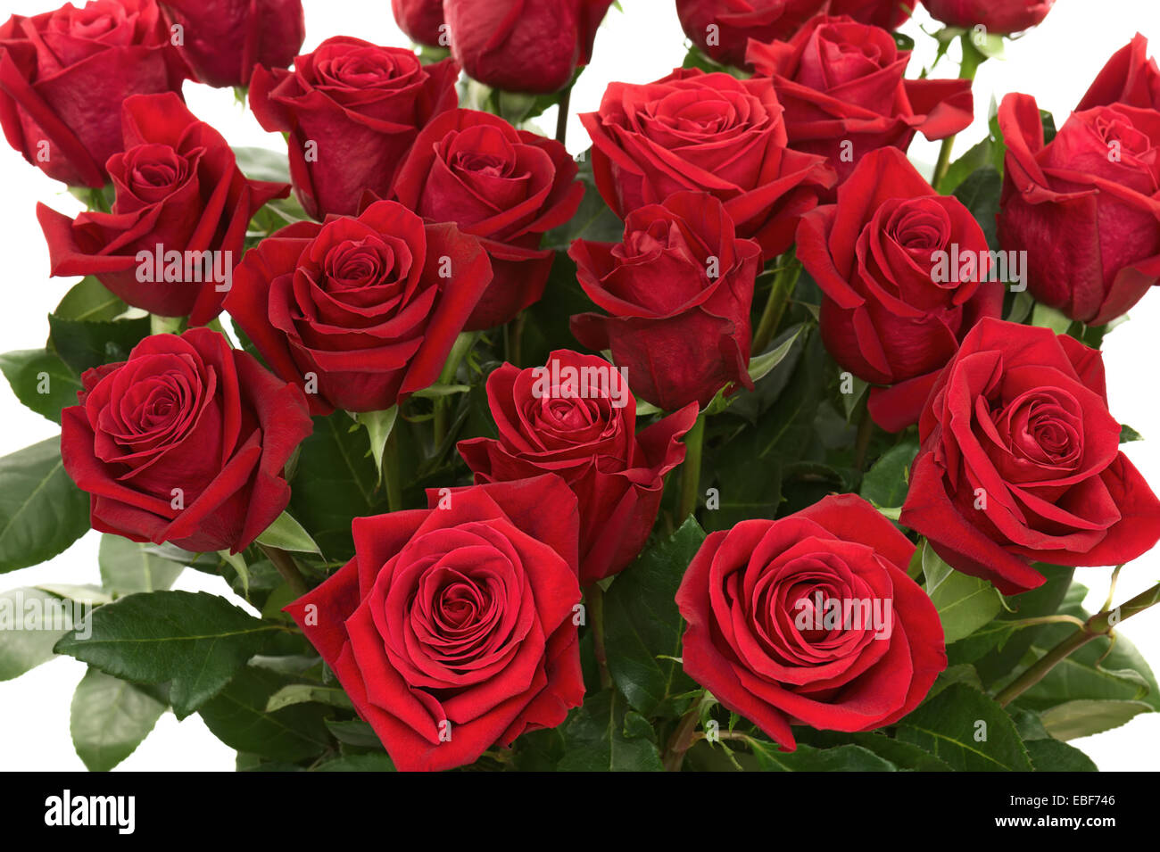 Bouquet de fleurs colorées de roses rouges isolé sur fond blanc. Libre ...