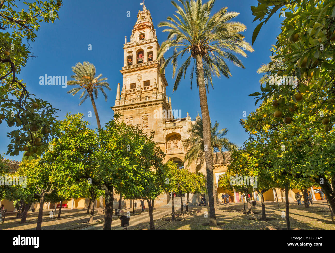 La CATHÉDRALE MEZQUITA de Cordoue, la mosquée ou la tour principale et ...