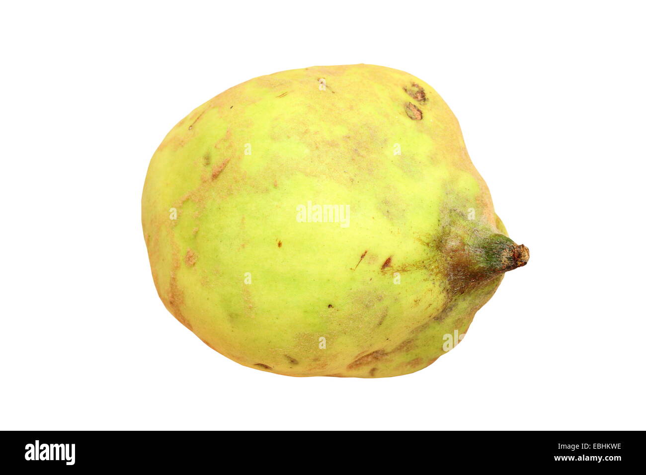 Fruits de coing Banque de photographies et d’images à haute résolution ...