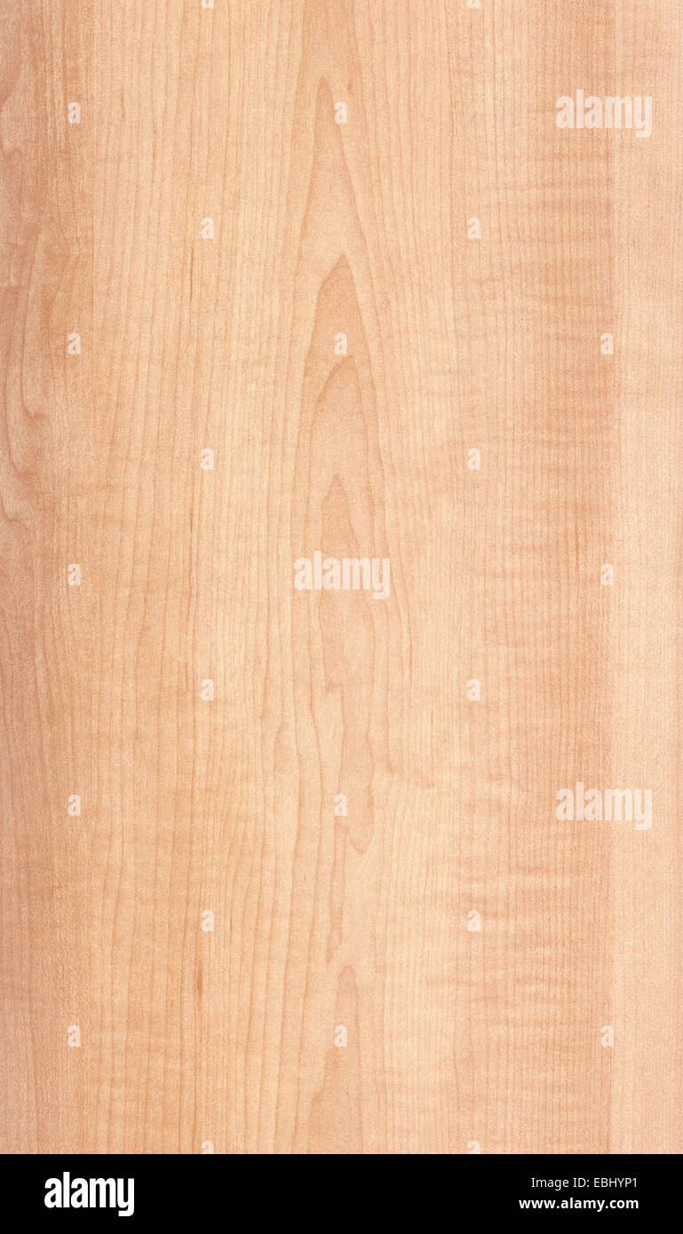 Bois d'érable Banque de photographies et d’images à haute résolution ...