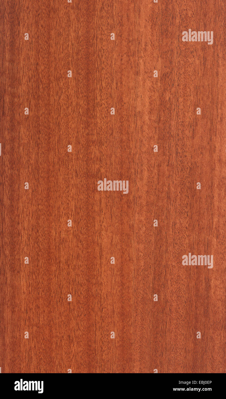Walnut wood texture Banque de photographies et d’images à haute ...
