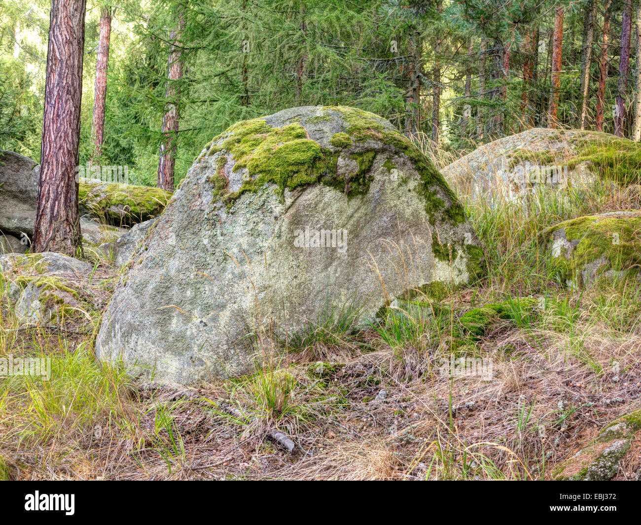 Big boulder Banque de photographies et d’images à haute résolution - Alamy
