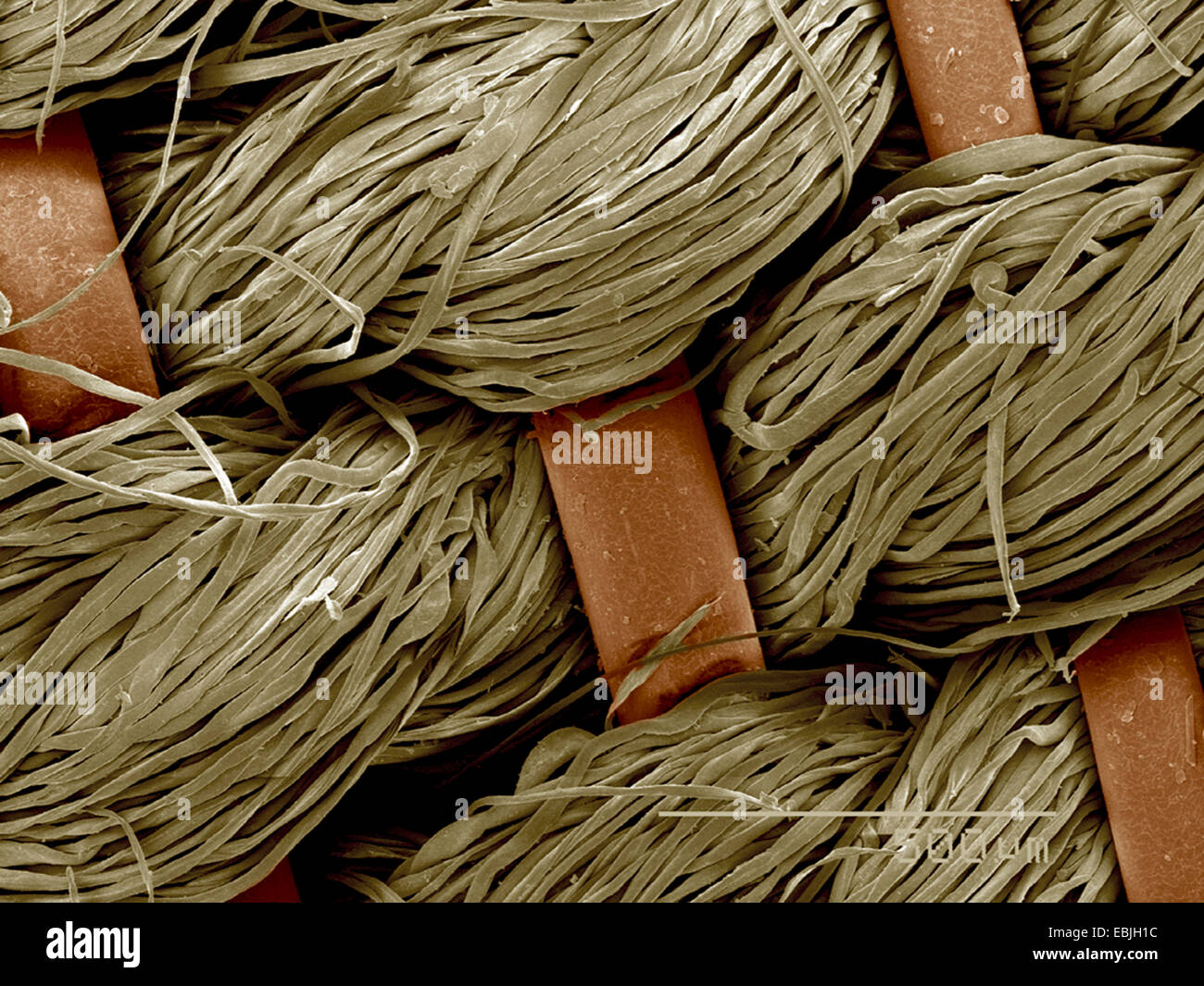 Toile de lin Banque de photographies et d’images à haute résolution - Alamy